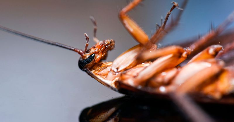 Cover Image Source: Getty Images (representative)