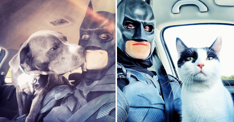 Image source: Instagram/batman4paws