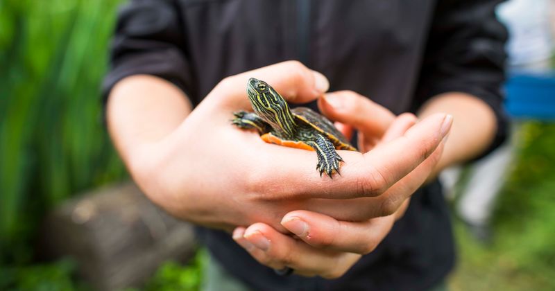 Representative Image Source: Getty Images/Cavan Images