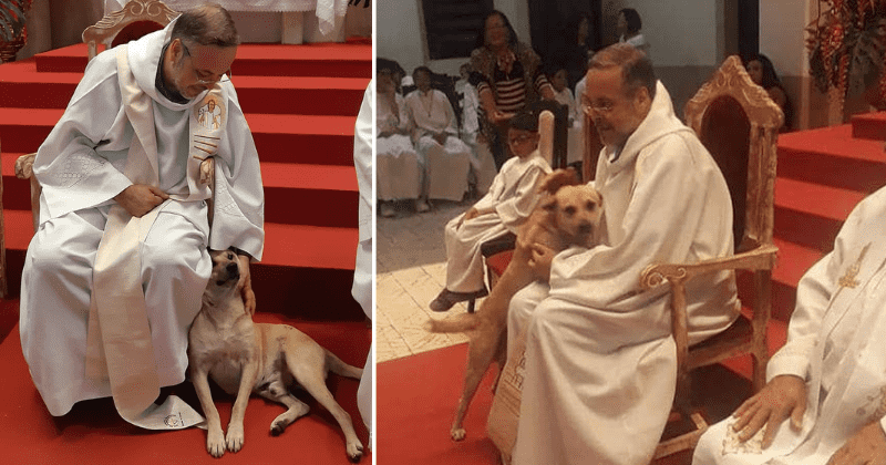 Cover Image Source: Facebook/PadreJoao Paulo Araujo Gomes