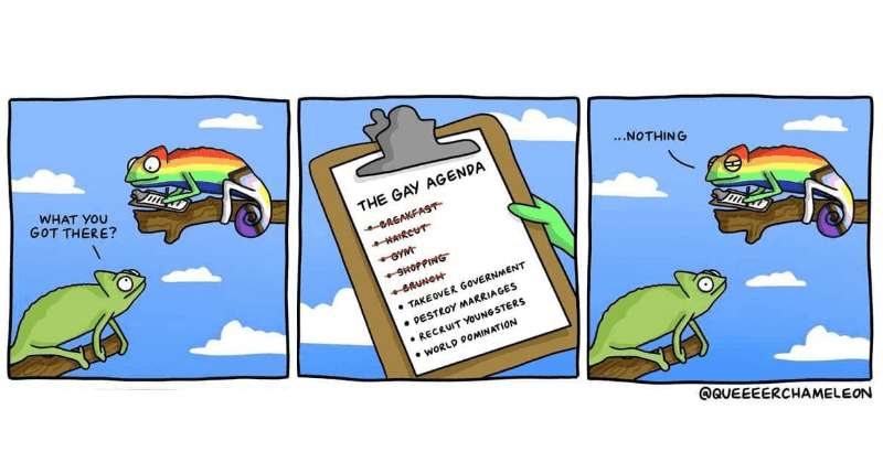 Cover Image Source: Instagram/Queer Chameleon