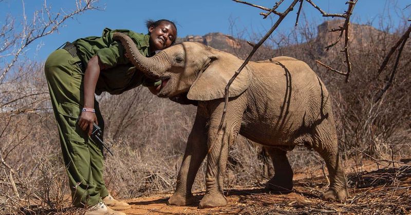 Cover Image Source: Facebook/Reteti Elephant Sanctuary Community United ...