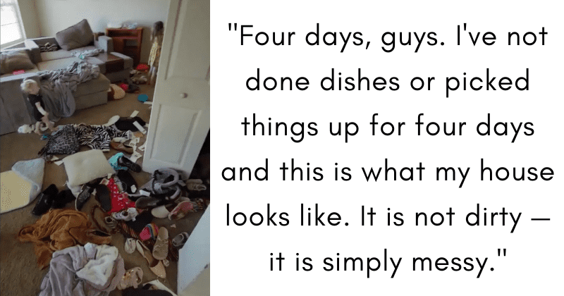 Cover Image Source: TikTok/themessymama4