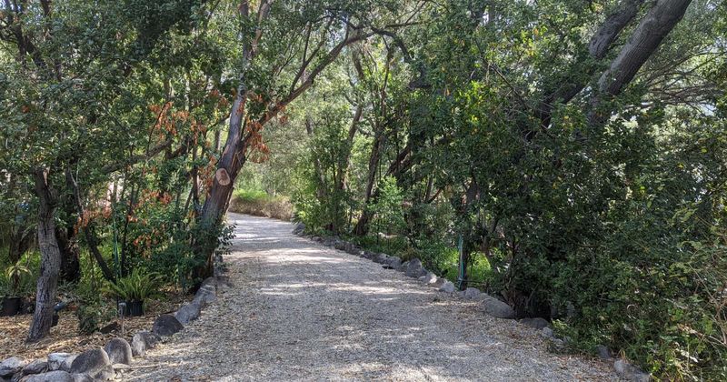 Cover Image Source: Tongva Taraxat Paxaavxa Conservancy
