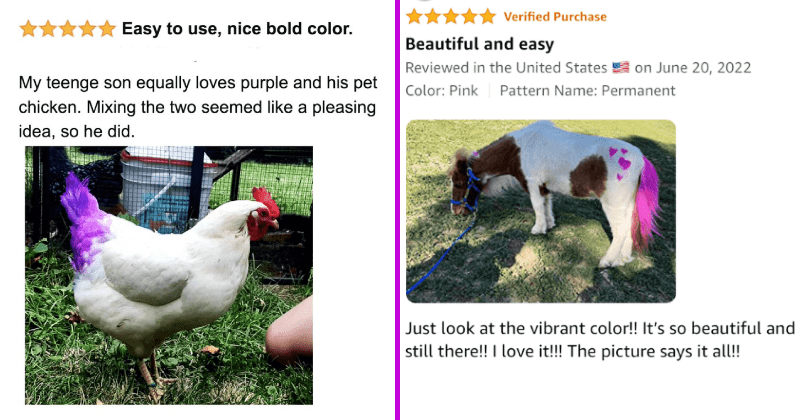 Image Source: Amazon reviews