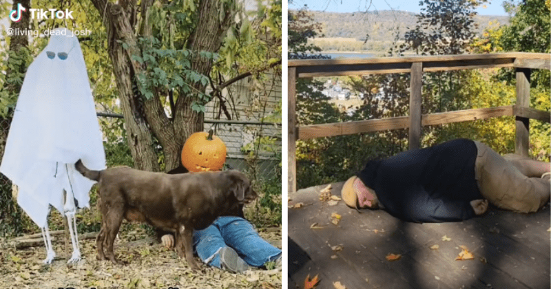 Image Source: Living Dead Josh/Tik Tok