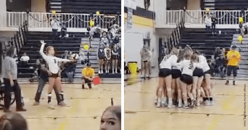 Image Source: Twitter/@greg_nieto