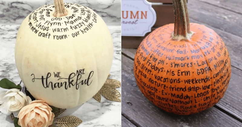 Cover Image Source: Instagram/amylattacreations