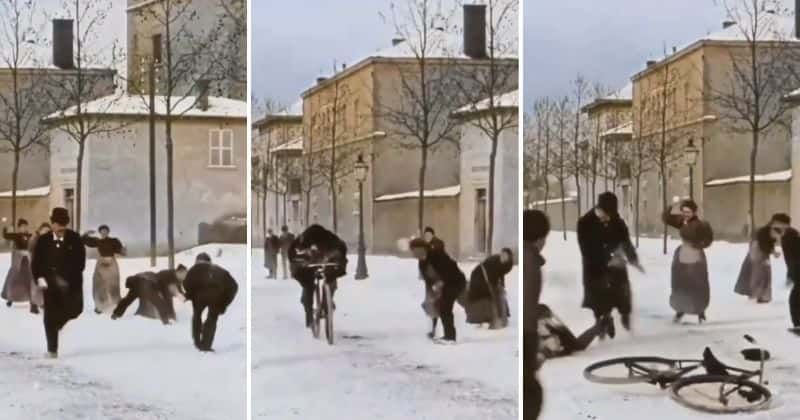 Cover Image Source : Twitter | @LIHpics